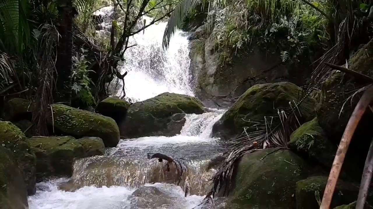 Fena Lake to Mt. Lamlam Guam July 2018 - YouTube