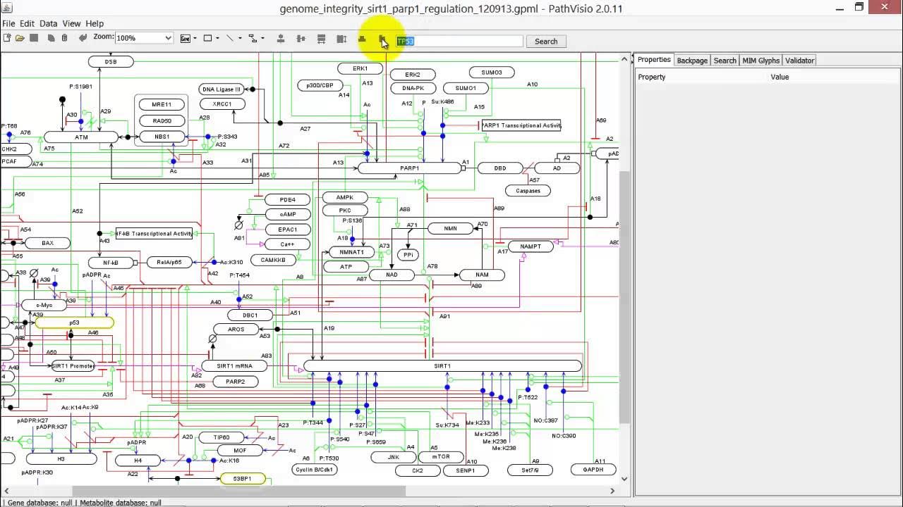 Using PathVisio for Pathway Analysis: Navigate and Search - YouTube