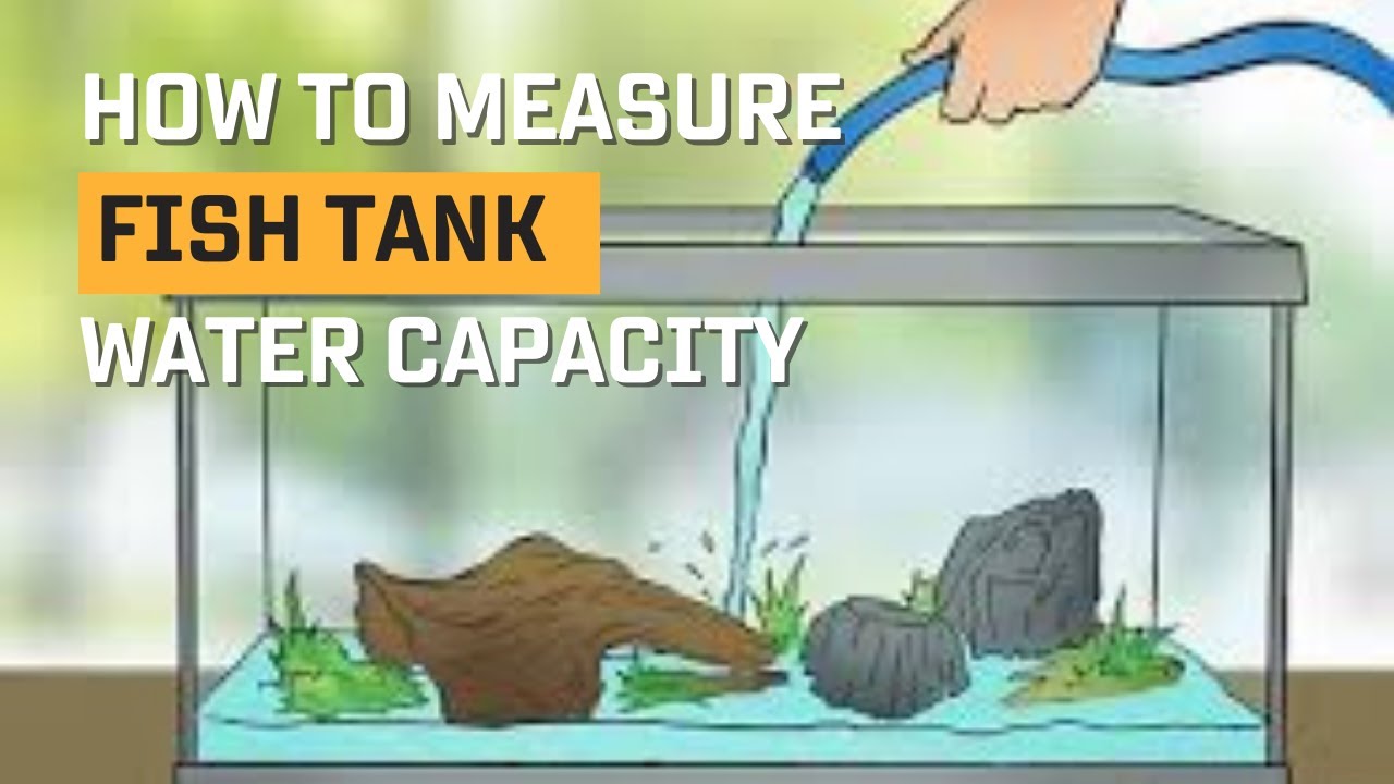 How Measure Fish Tank Water Capacity - YouTube