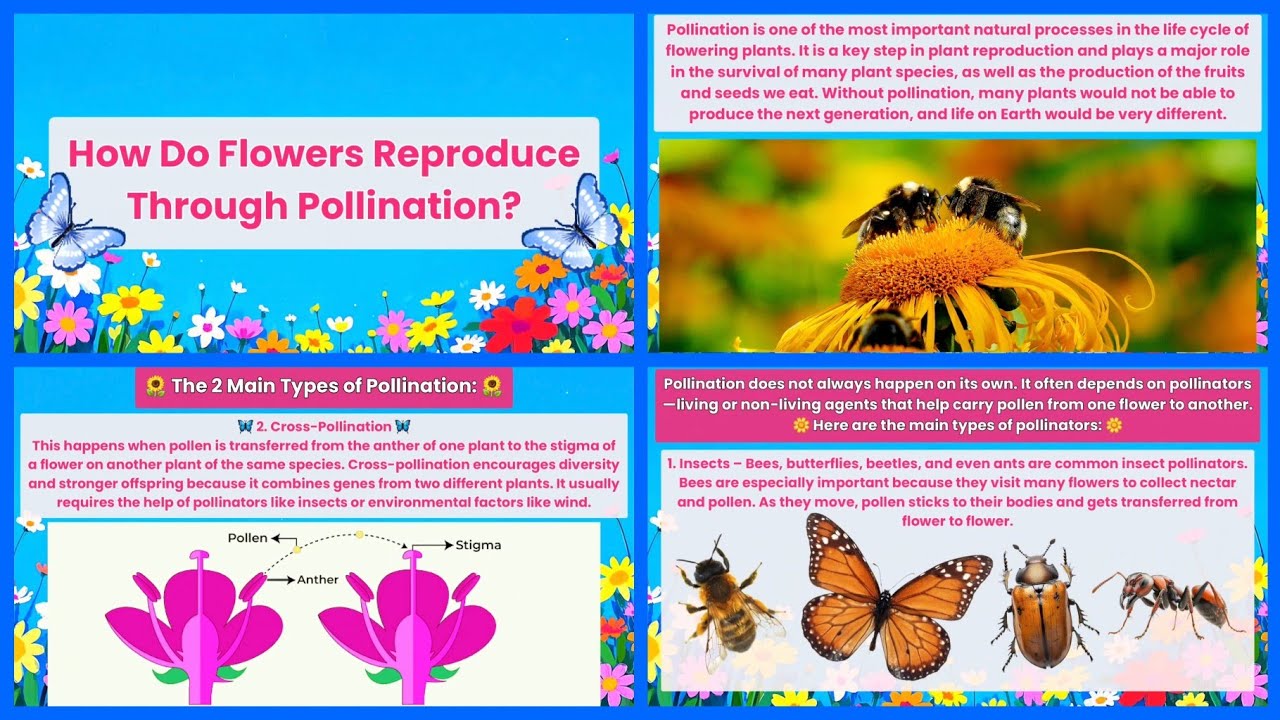 💟 (SCIENCE) How Do Flowers Reproduce Through Pollination? | # ...