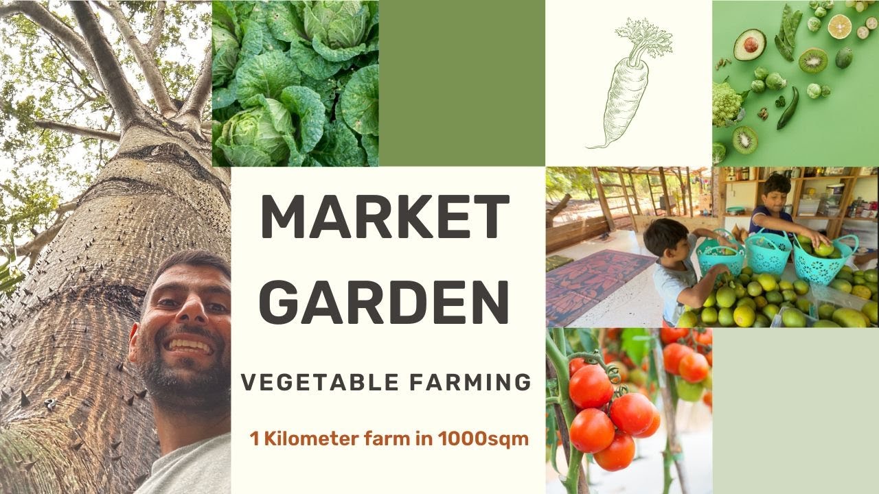 "Creating a 1km Market Garden in Just 1000sqm: A Stunning ...
