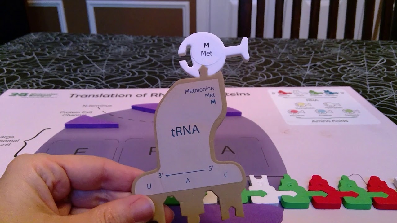 Translation for kit - YouTube