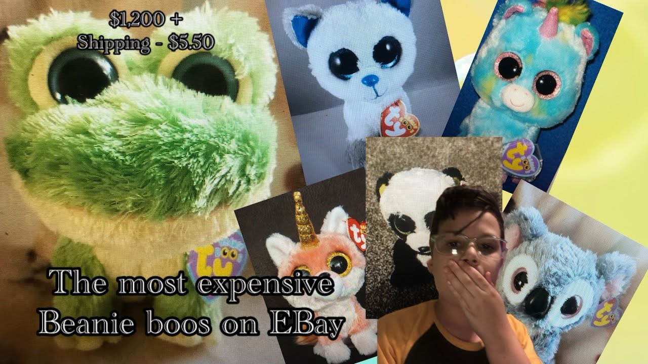 The most expensive beanie boos on EBay - YouTube