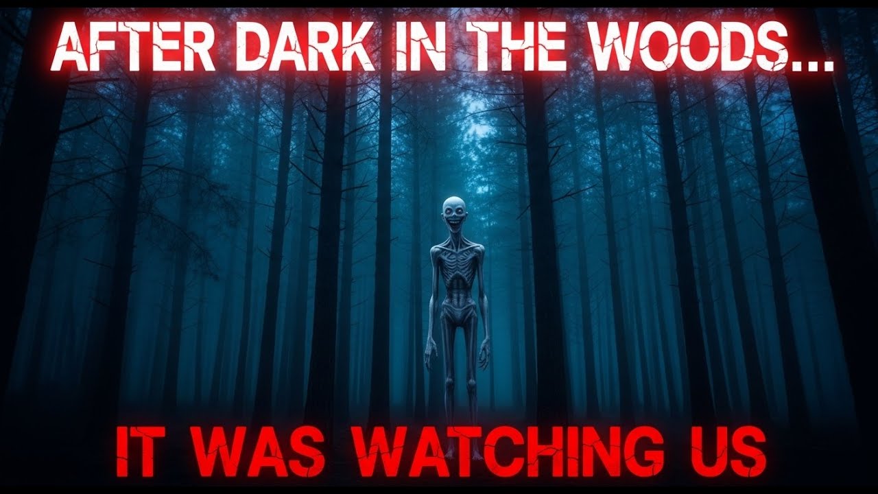 Something Watches You After Dark in Black Pine National Park — TRUE ...