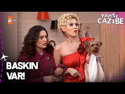 Simge ve Cazibe gizli toplantıyı bastı😱- Yahşi Cazibe 28. Bölüm