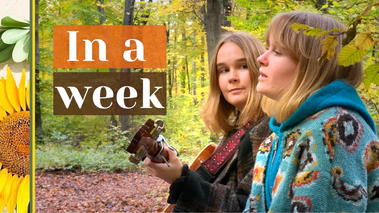 In A Week - Hozier (Cover) - YouTube