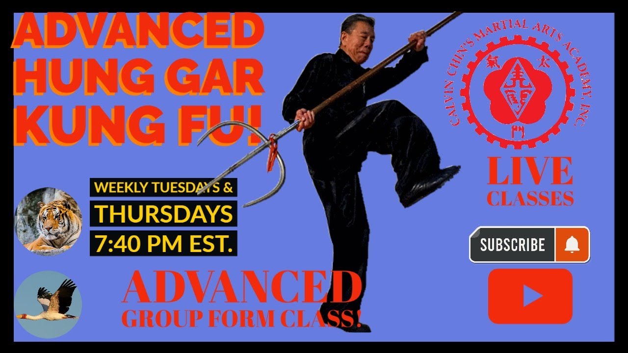 Intermediate/Advanced Hung Gar Kung Fu Group Forms Class Live! - YouTube