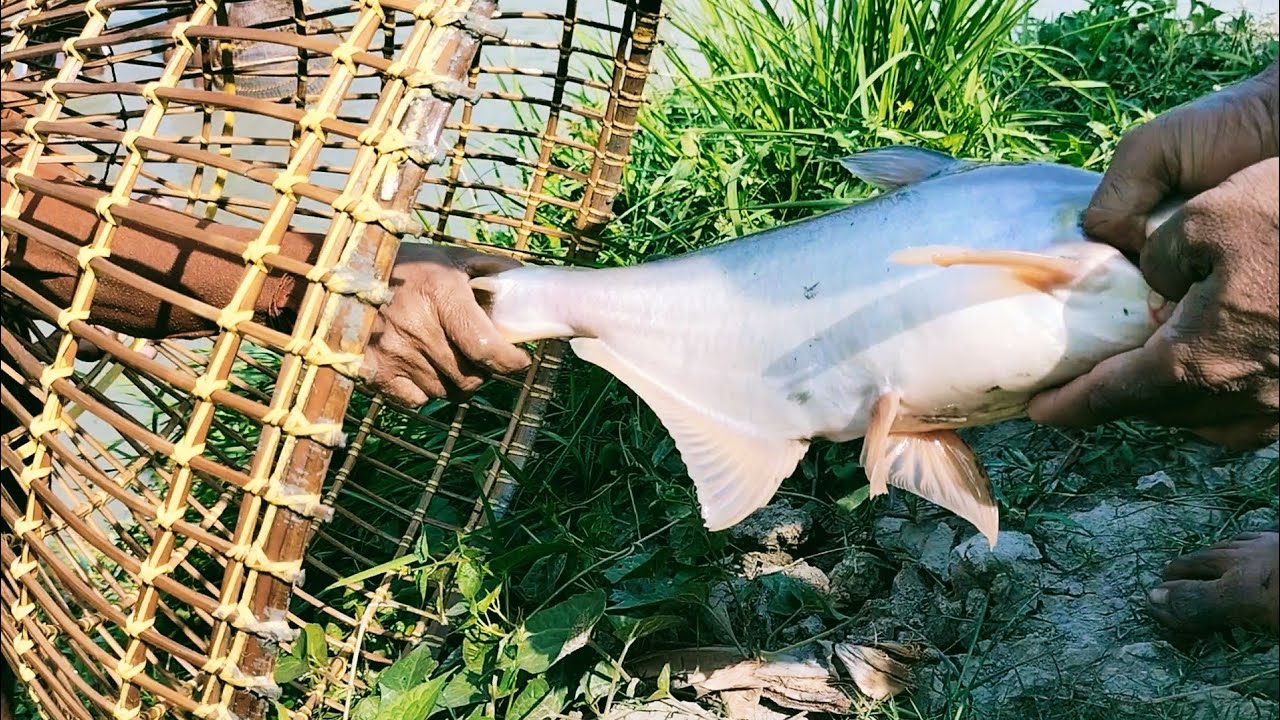 Wow " Very Nice Amazing Best Competition Polo Fish catching Awesome ...