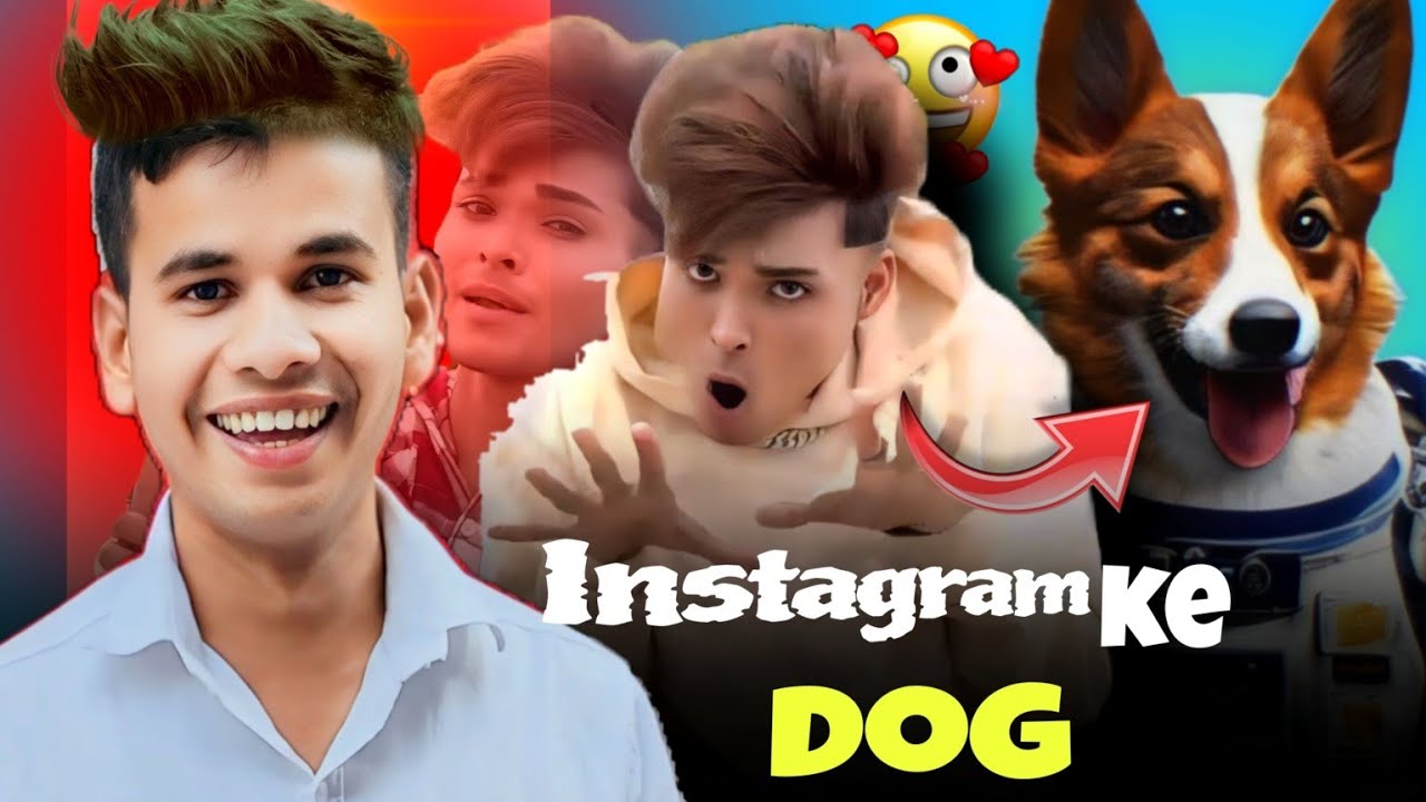 INSTAGRAM KE CHAPRI PRO MAX!!PRINCELY ROAST 🐶#mdfaizan - YouTube