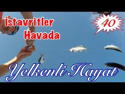 İstavritler Havada - Bir Ada Macerası / Yelkenli Hayat - 40