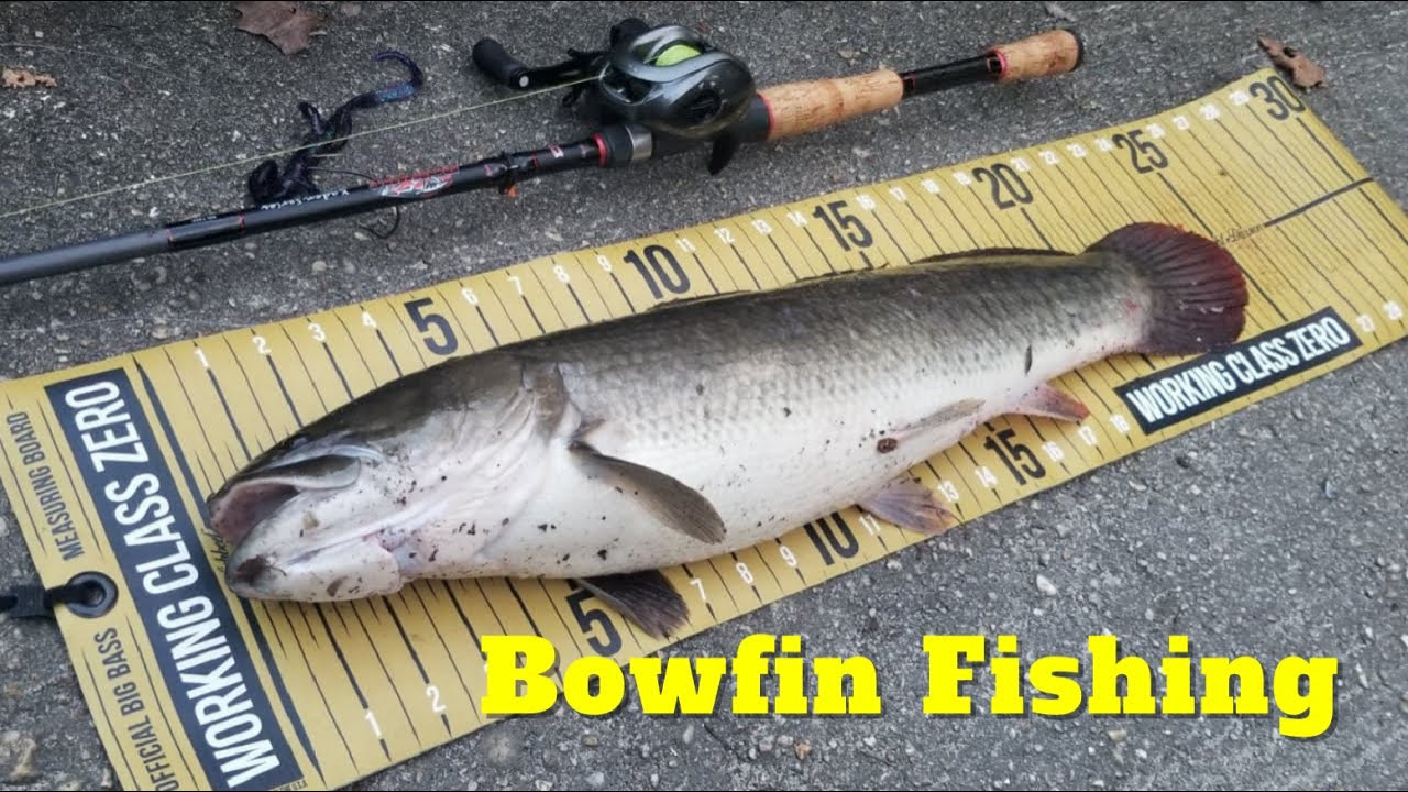 Bowfin Fishing with Texas Rig Soft Plastics | Shimano 2012 Exsence DC ...