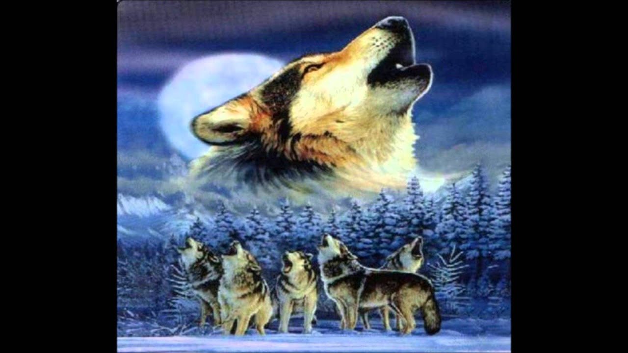 White Christmas -Otis Redding..wmv Let the Wolves run free ! - YouTube