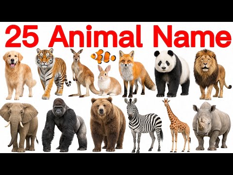 25 Animals Name English and Hindi | 25 जानवरों के नाम | बच्चों के लिए जानवरों के नाम सीखें | Animals