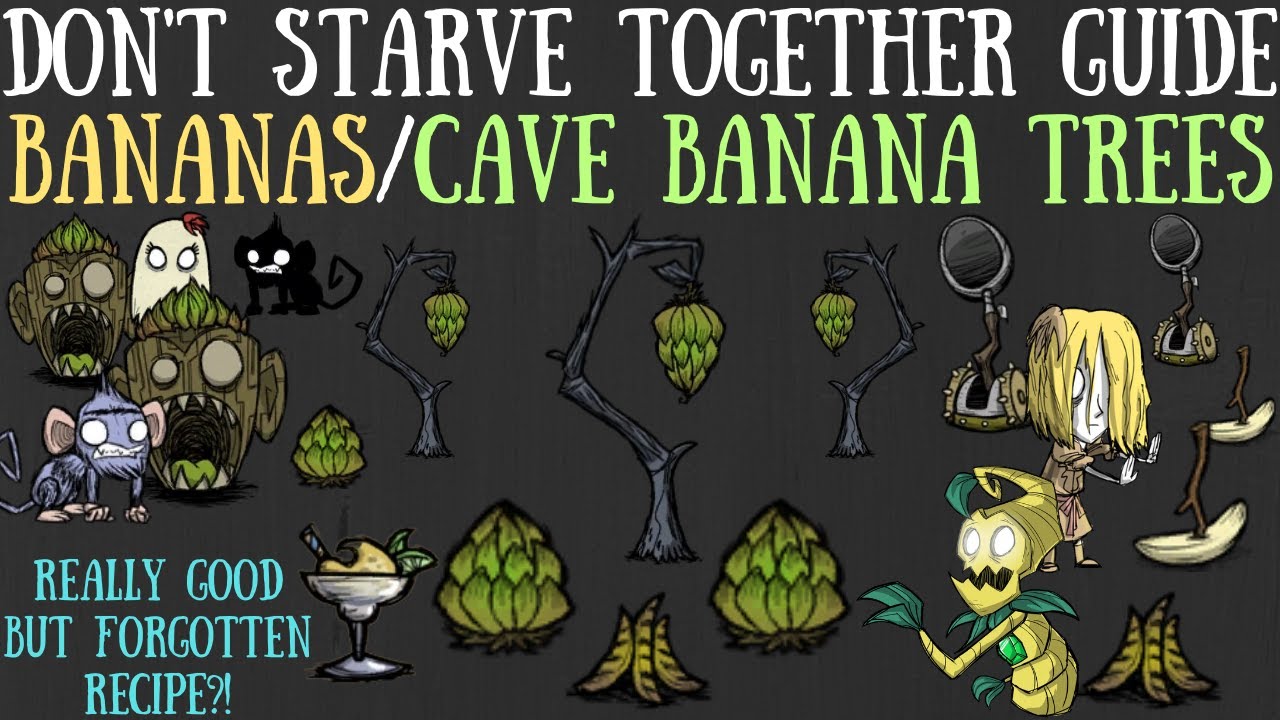 Don't Starve Together Guide: Bananas & Cave Banana Trees - YouTube