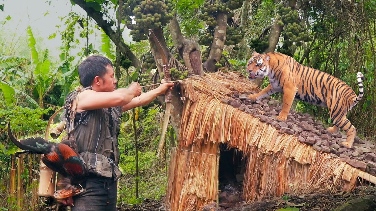 build stone shelter hut attack tiger follow from forest - YouTube
