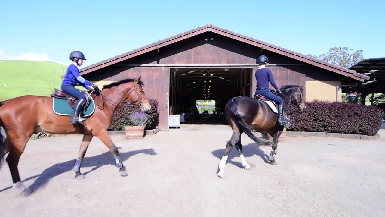 Kilham Farm | 3431 Nicasio Valley Rd Nicasio CA | Nicasio Equestrian ...