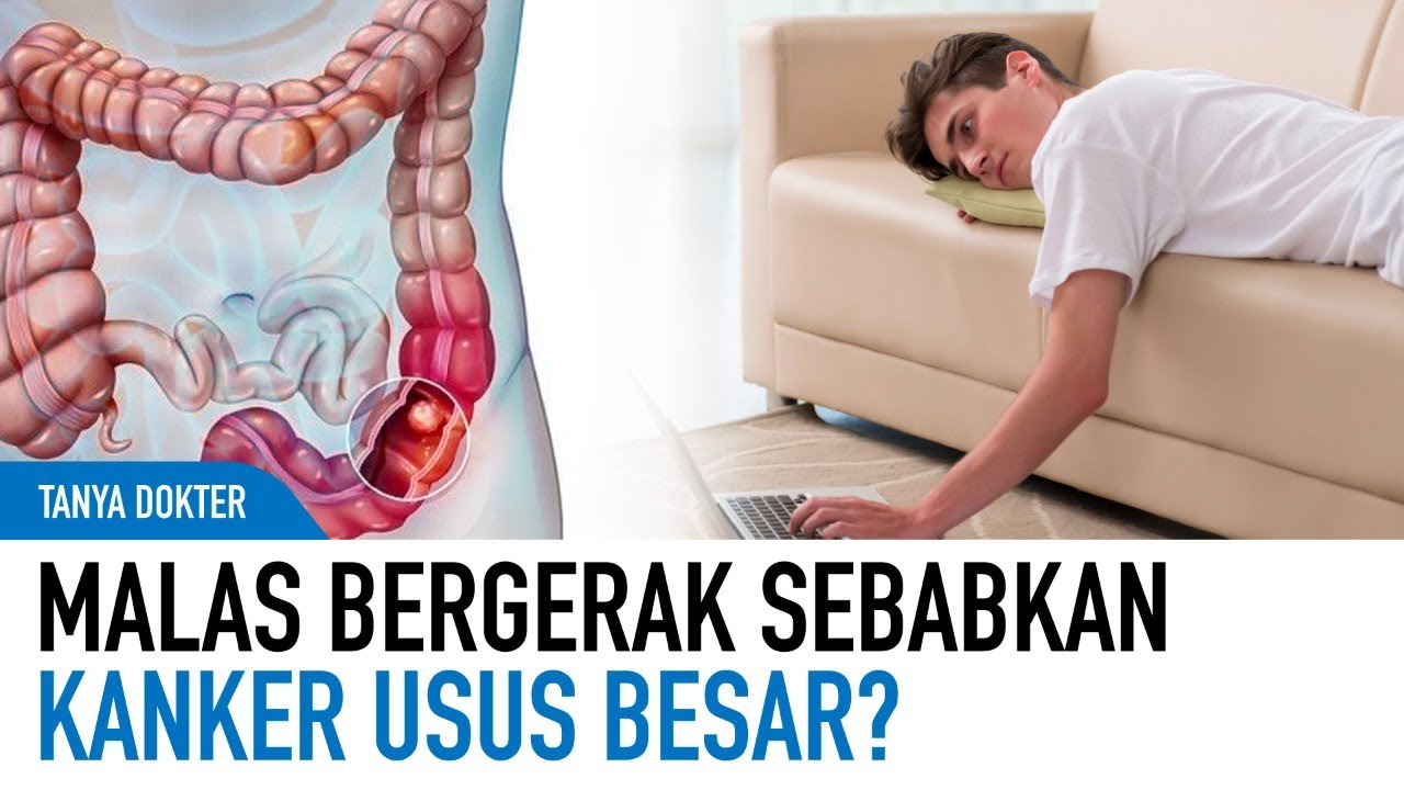 Cara Menjaga Kesehatan Usus Besar Agar Pencernaan Lancar | Kata Dokter - YouTube