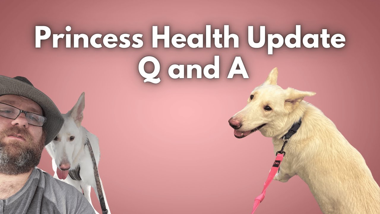 Talking about Princess Moose and her health and live Q and A - YouTube