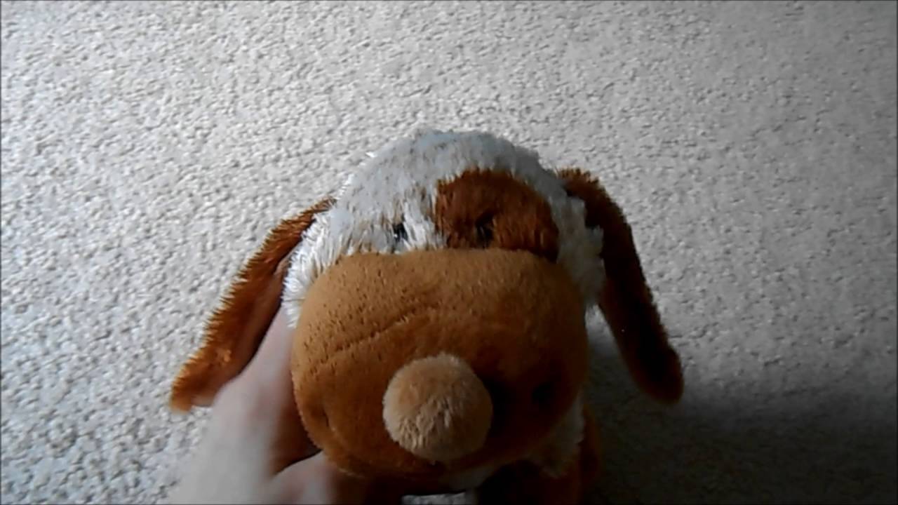 My Top Ten Most Recommended Webkinz Pets #2 - YouTube