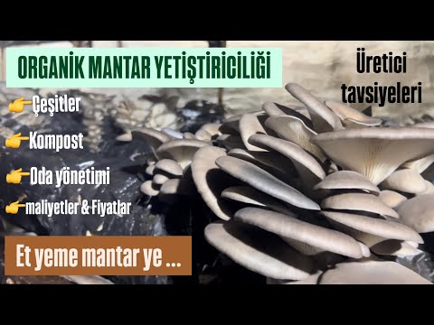 MANTAR YETİŞTİRİCİLİĞİ TÜM DETAYLAR / KESTANE KÜLTÜR İSTİRİDYE MANTARI /KOMPOST NEDİR ? #mantarlar