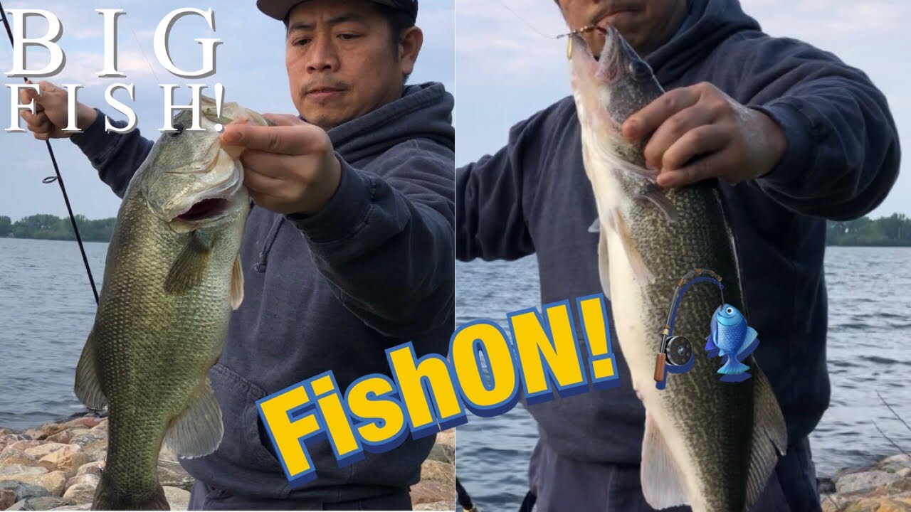 BIG FISH! EARLY MORNING FISHING TRIP ACTION!! FISHON!! FISHON!! 👉🎣👍😁 ...
