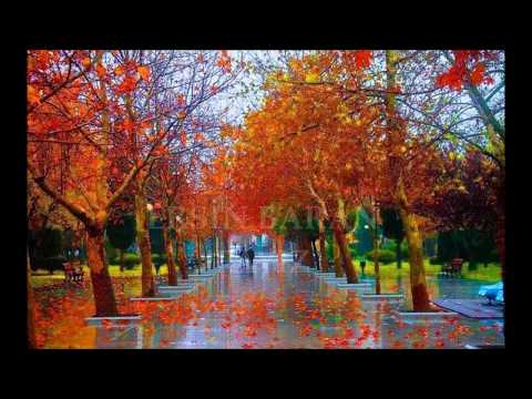 PAYIZ (SONBAHAR) - ERSİN BARAN