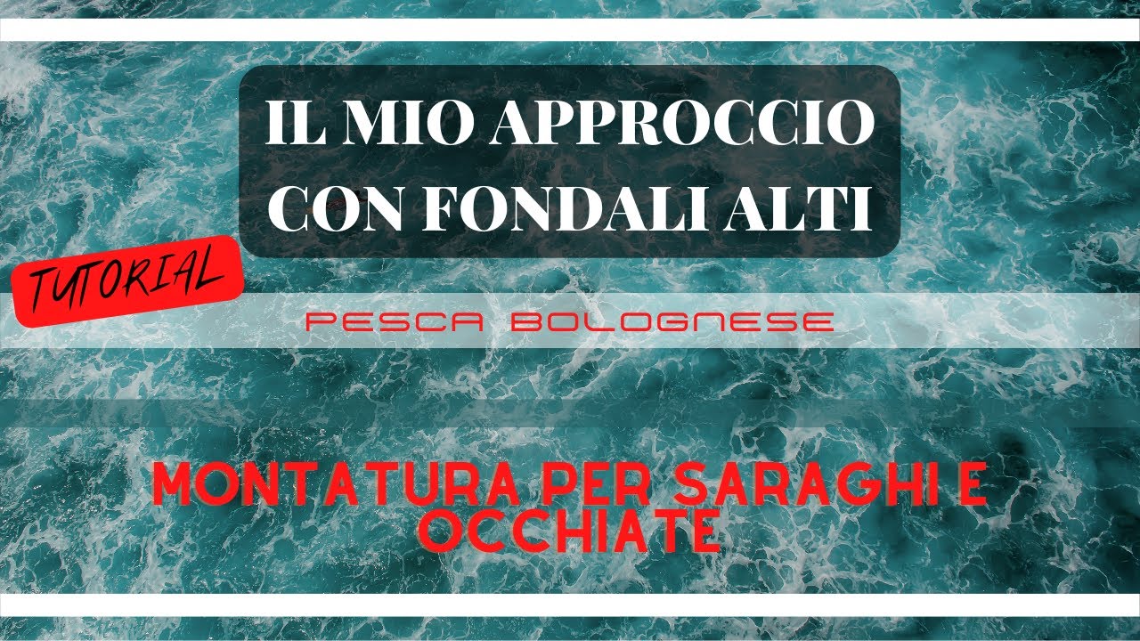 IL MIO APPROCCIO CON FONDALI ALTI - montatura per Saraghi e Occhiate ...