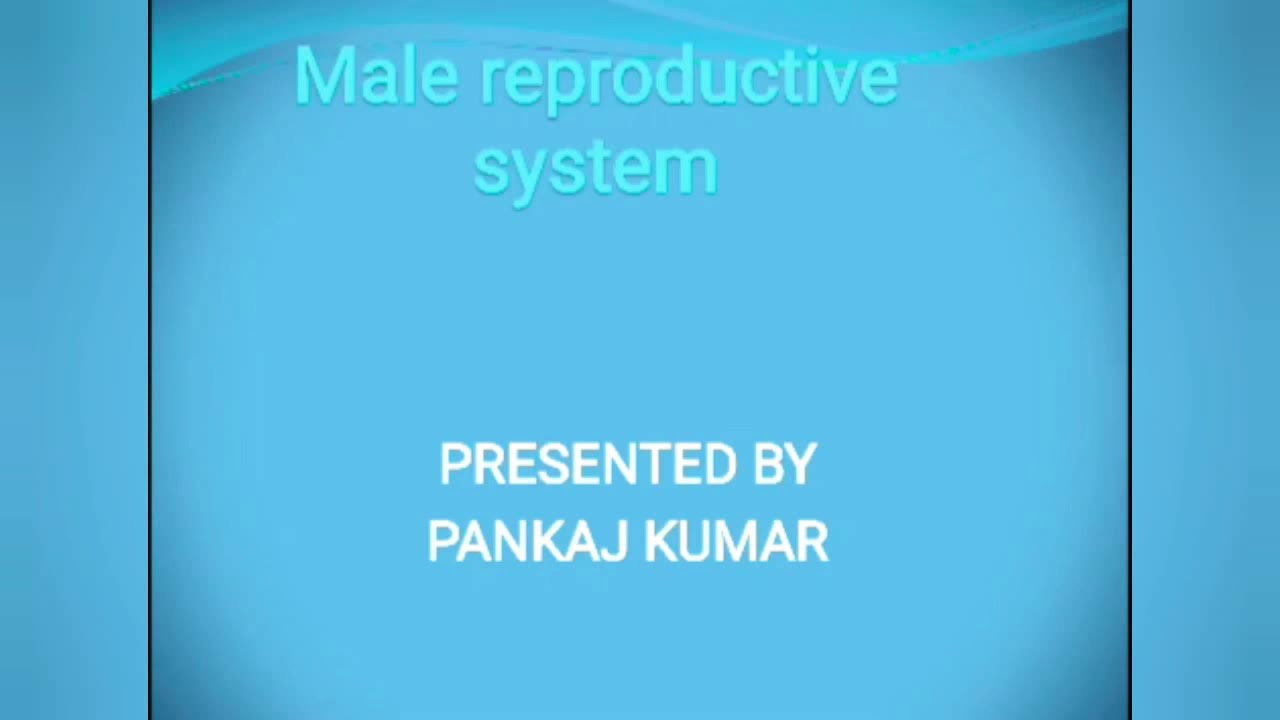 Part 1, chapter 3 Human reproduction , male reproductive system - YouTube