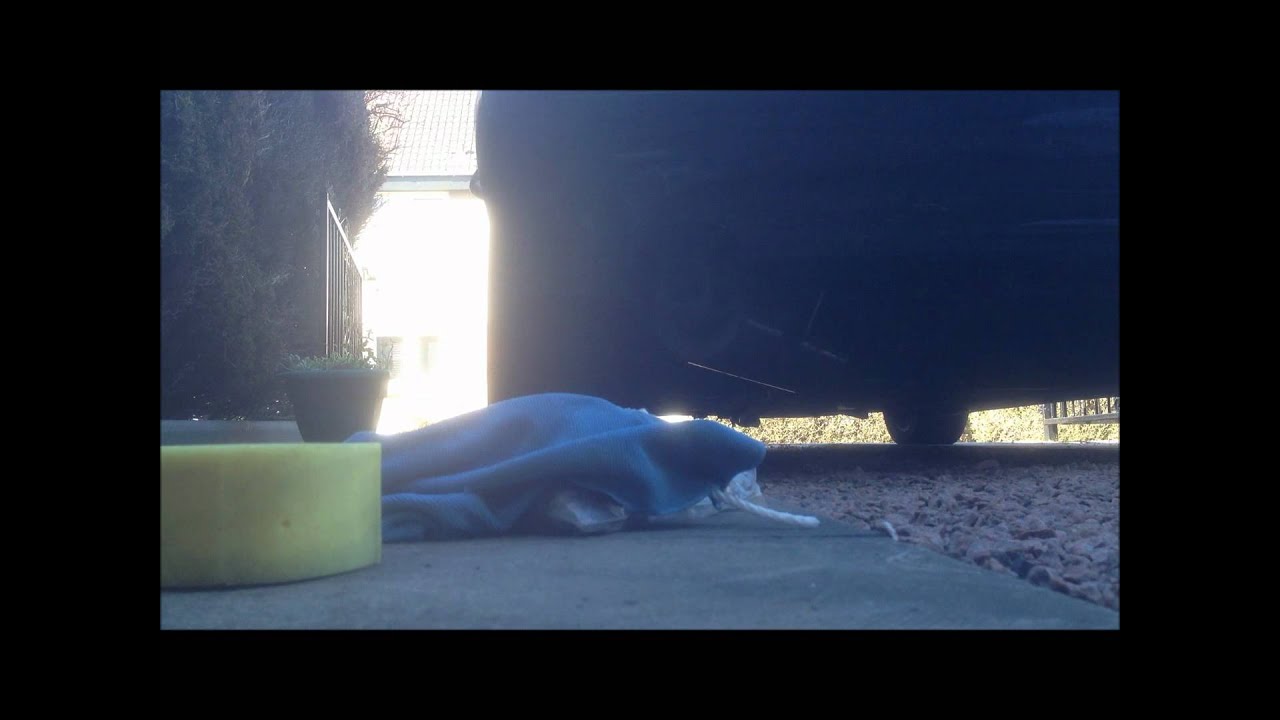VTR GROUP N Exhaust - YouTube