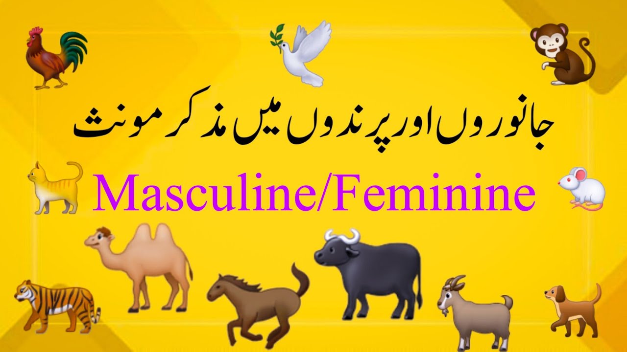 Masculine feminine in animals and birds ||مذکر مونث|| muzakar monas ...