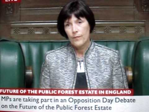 House of Commons, future Betty Boothroyd - Dawn Primarolo slaps down ...