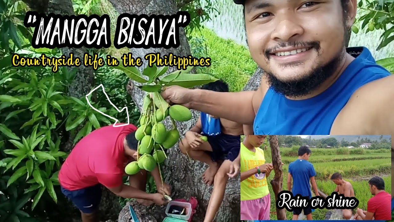 mangga bisaya | province life in the Philippines - YouTube