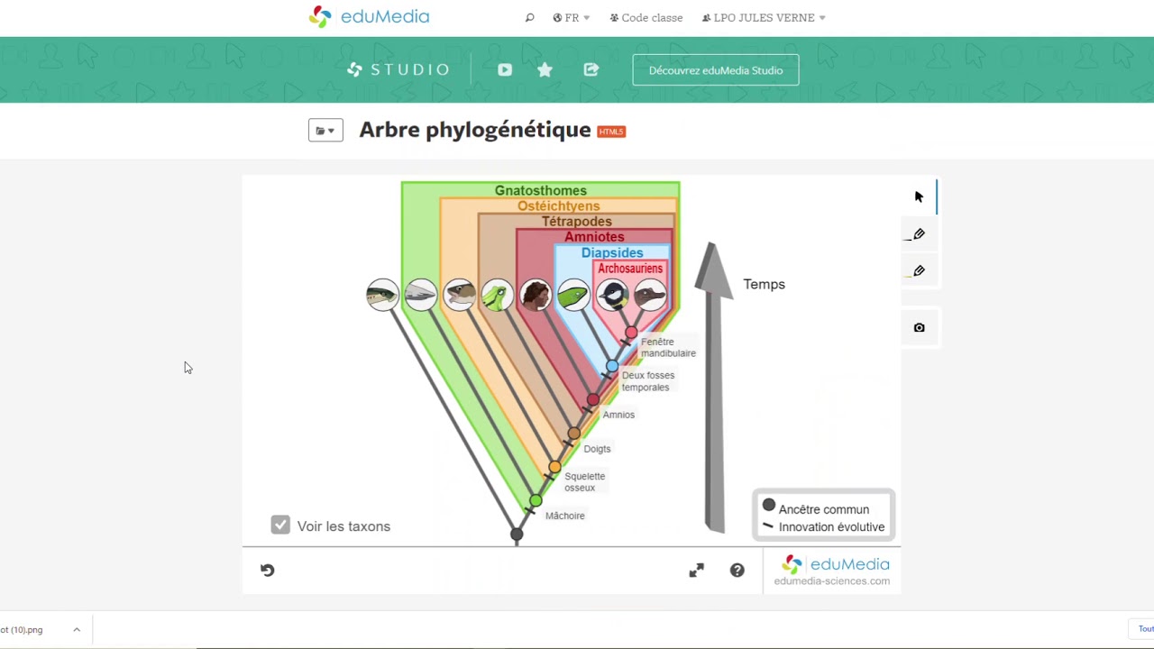 eduMedia - Service - YouTube
