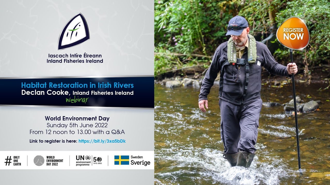 Habitat restoration in Irish Rivers - YouTube