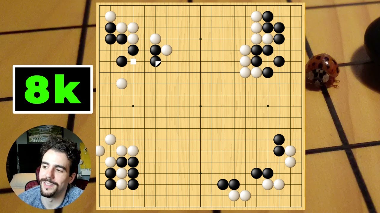 A espiadela da desistência | Rota Fox Kyu-Dan #030 (8k) - YouTube