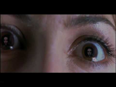 Lovers of the Arctic Circle