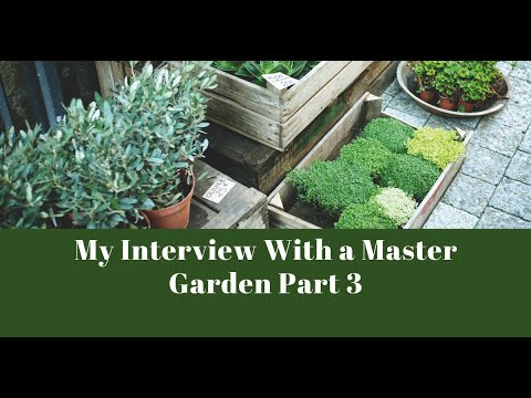Interview with a Master GardenerPart 3 - YouTube