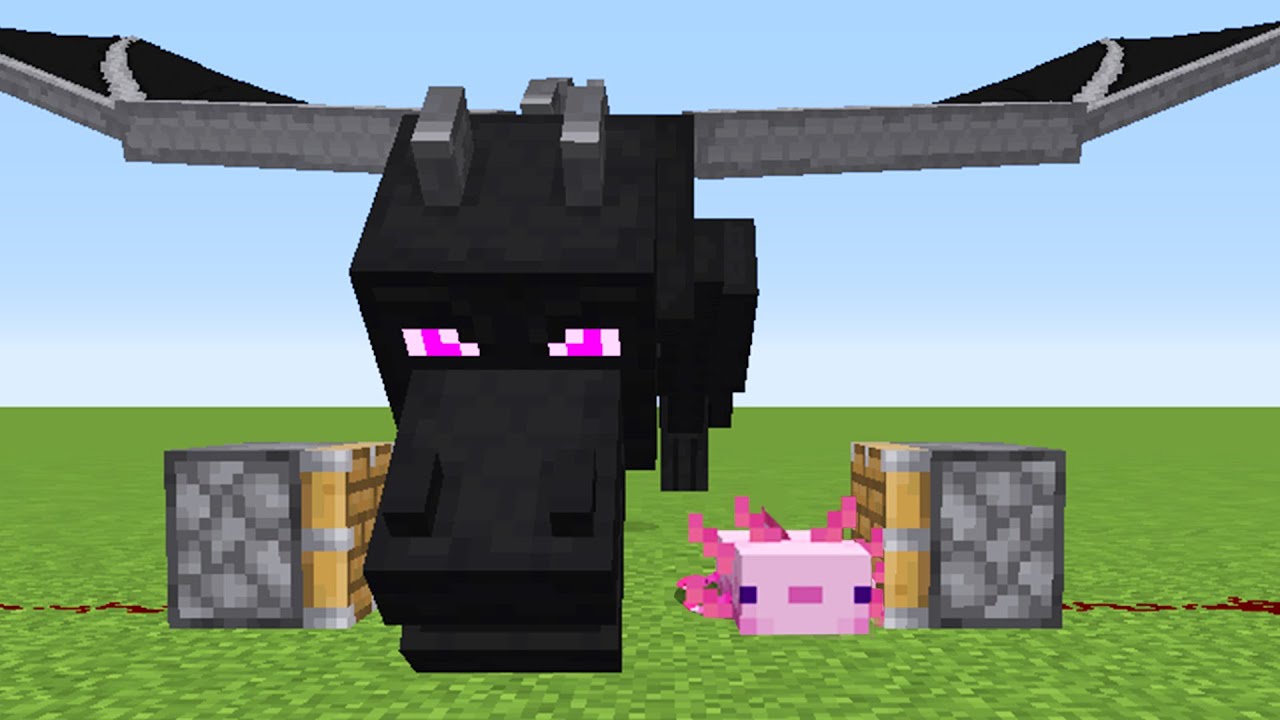 Ender Dragon + Axolotl = ??? - YouTube