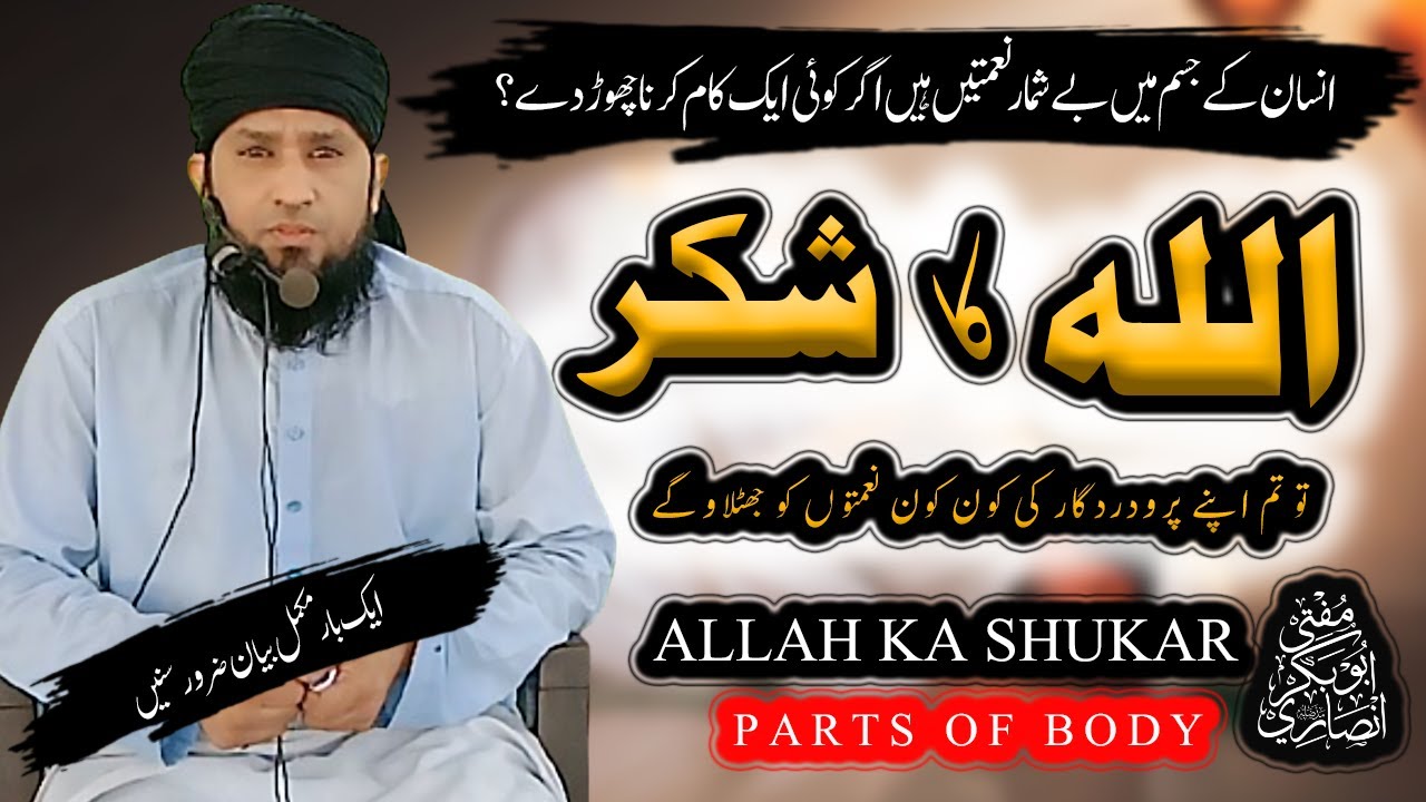 Allah Ka Shukar | Parts Of Body | Allah Ki Naimat | Allah Ka Ahsan ...