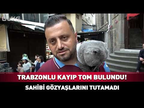 Trabzonlu Kayıp Tom Bulundu! Sahibi Gözyaşlarını Tutamadı