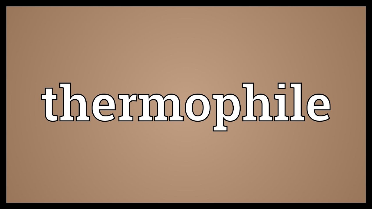 Thermophile Meaning - YouTube