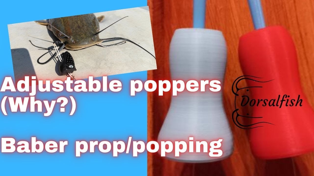 How Adjustable Poppers will help you to get more fish! (How to do ...