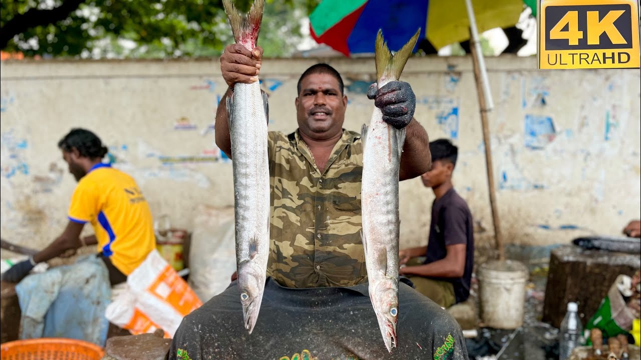 Sila fish cutting video/Fishcuttingrs #fishcuttingrs #kasimedu #fish ...