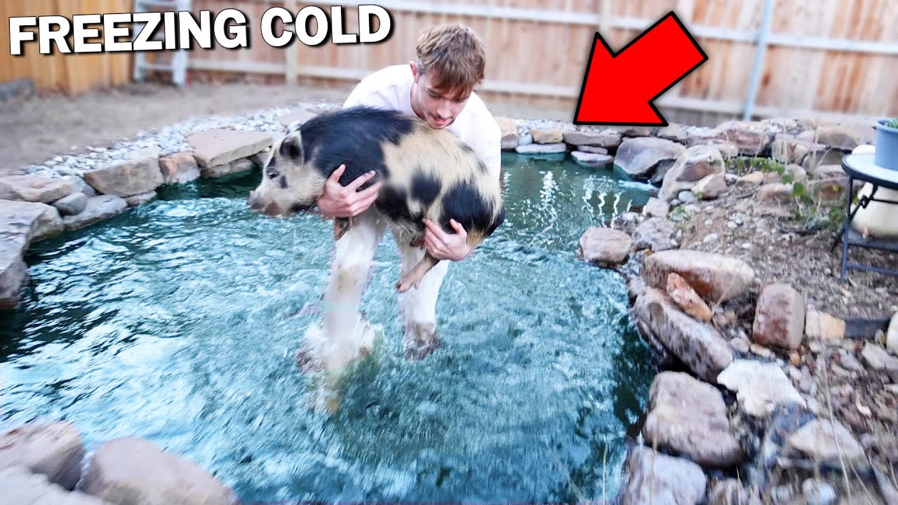 Saving MY PIG from DROWNING in Freezing Temps!!! - YouTube