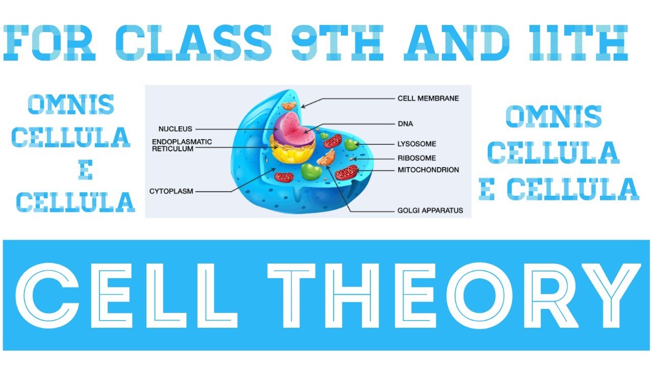 Cell theory | Class 9th and 11th | Rudolf Virchow | omnis cellula e ...