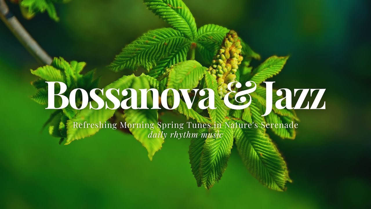 Refreshing Morning Spring Tunes 🌿 Focus, Study, and Unwind #3 - YouTube