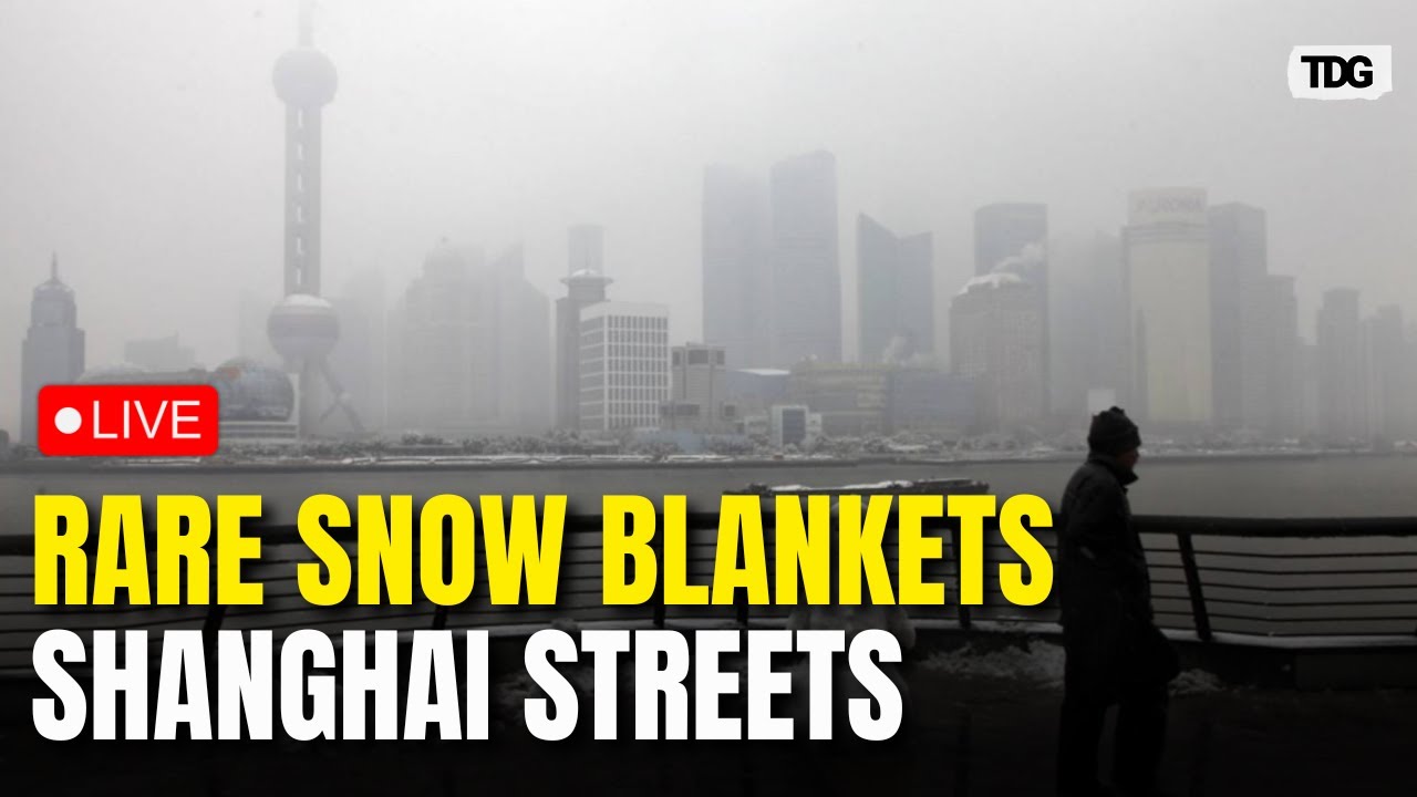 LIVE: Rare Winter Snow Transforms Shanghai Streets Into White ...