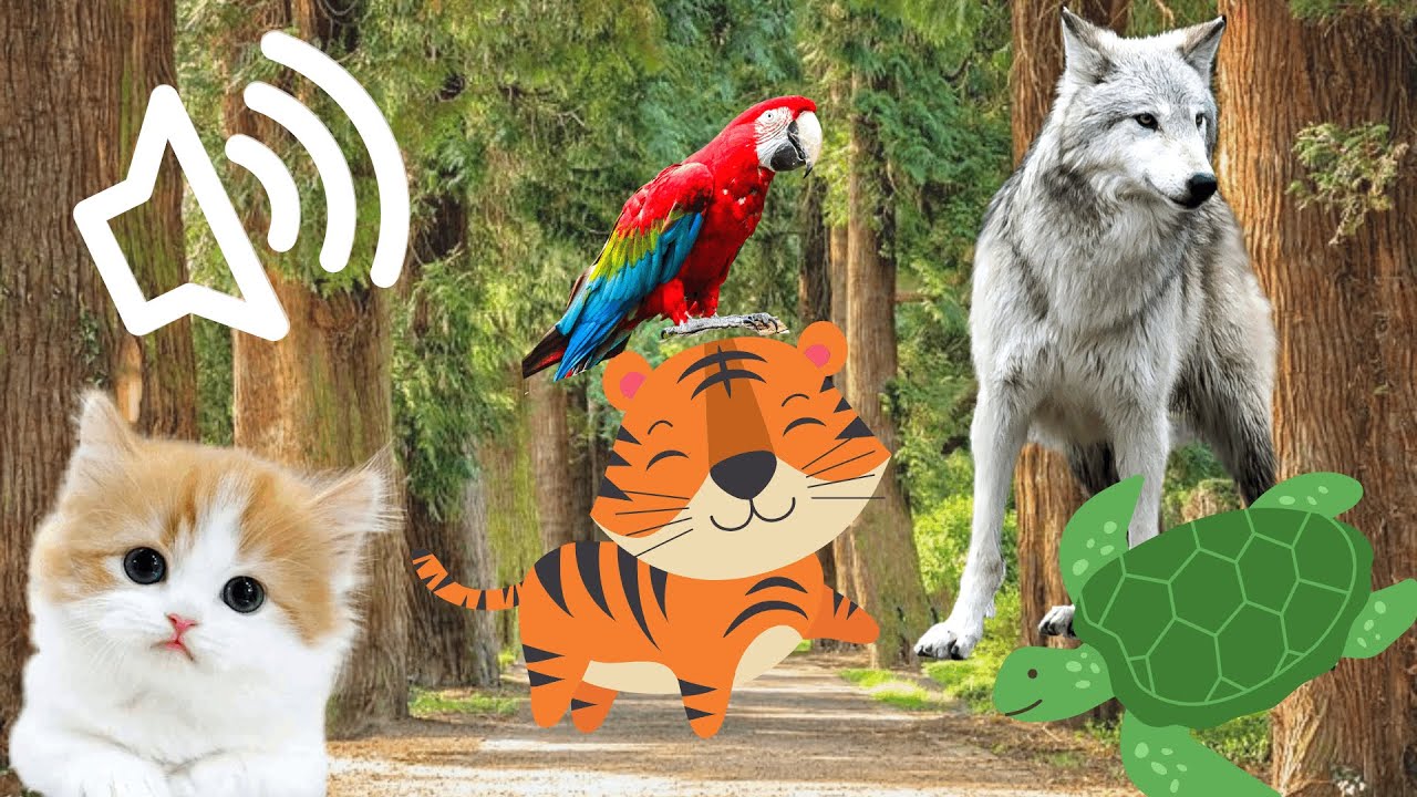 List of SOUND SAMPLES of Common Animals - Including Tigers, Wolves ...