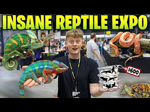 I SPENT OVER $500 AT THIS REPTILE EXPO! *INSANE*