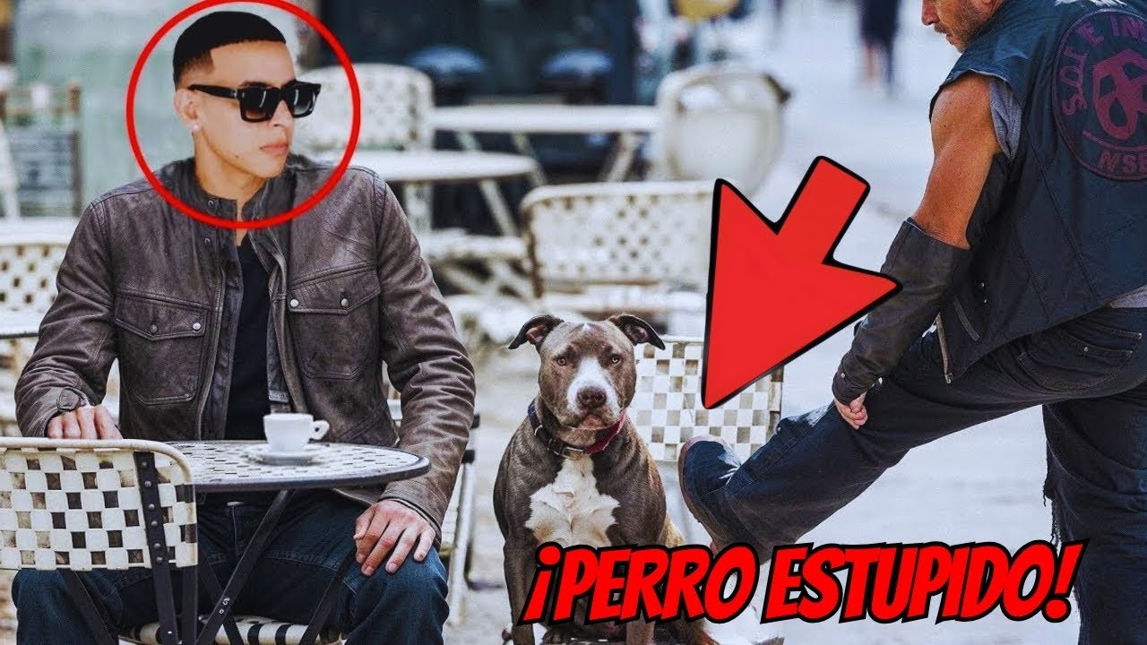 Un Hombre PATEÓ a un PERRO por Diversión… ¡SIN SABER que DADDY YANKEE ...